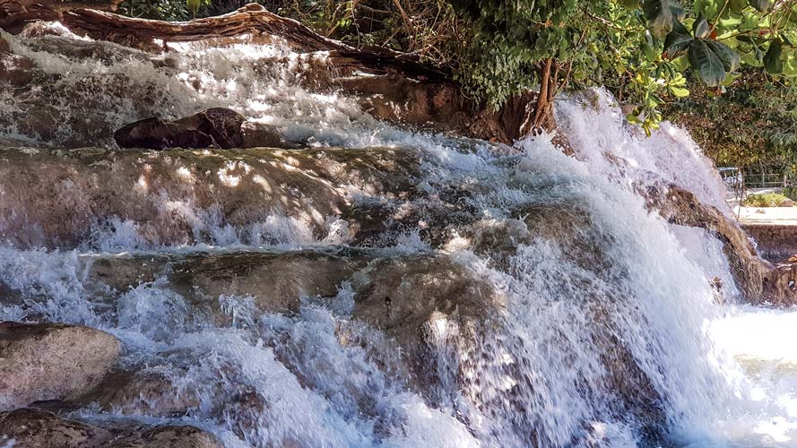 The 15 BEST Nature Attractions in Jamaica