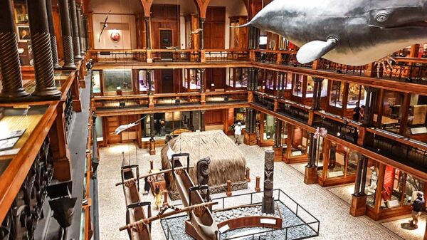 Bishop Museum, Oahu: Your Complete Guide (& Is It Worth It?)