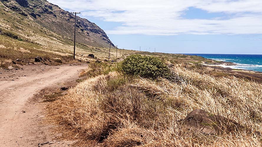 Kaʻena Point Trail, Oahu: Your Complete Hiking Guide (& Is It Worth It?)