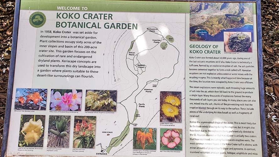 Koko Crater Botanical Garden: Dein kompletter Guide (& lohnt es sich?)