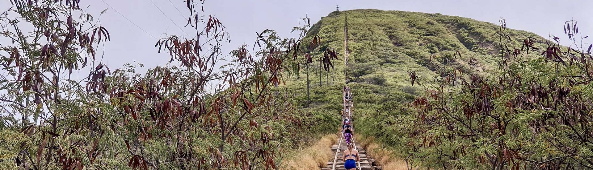 Koko Crater Trail: Dein kompletter Wander-Guide (& lohnt es sich?)