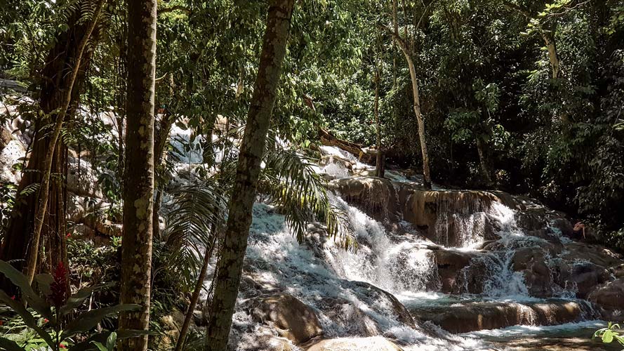 The 15 BEST Things to Do in Negril